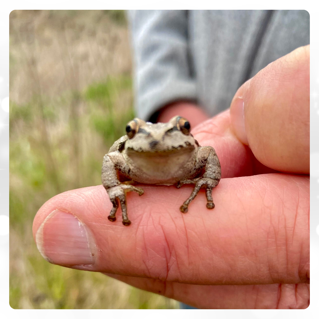 Year End Giving - RCDSMM